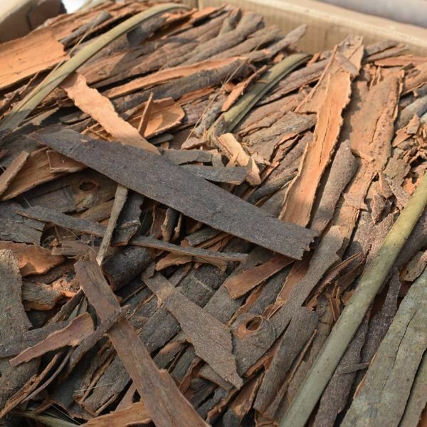 100% Natural Cassia Cinnamon Supplier In India - Cinnamomum Cassia ...