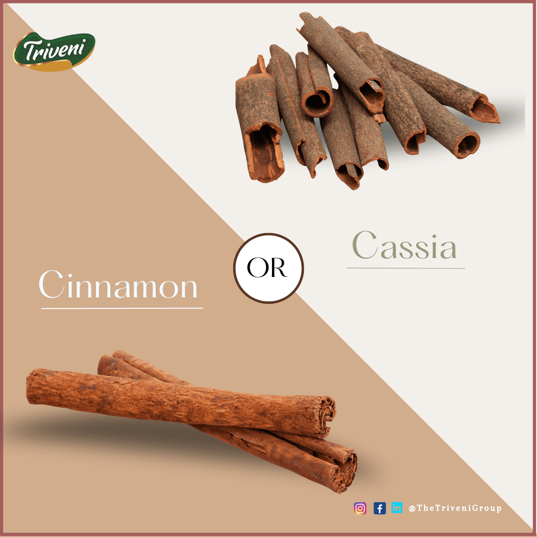 Cassia or Cinnamon? - Triveni Group | Wholesale Whole Spices, PET ...